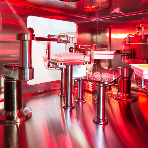 White Raven: About Us